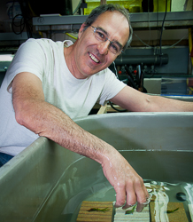 Prof. Fabio Badalamenti